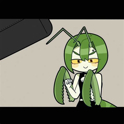 Mantis Girl Mantis Girl Insect Girl Insect Girl Monster