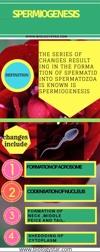 Best Infographics And Visuals On Tumblr