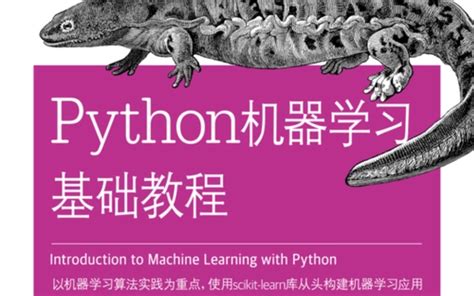 2023 人工智能基础 机器学习入门全套教程：python机器学习算法基础入门。 天空中的小雨点 机器学习 哔哩哔哩视频