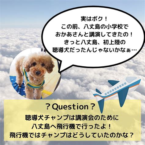 「補助犬クイズ64」に挑戦！ 介助犬デイジーのブログ
