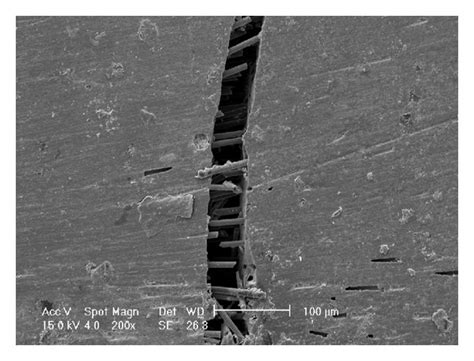 Flexural Fracture Samples A Sem 30x No Fibers B Sem 30x 0 5 Mm Download Scientific