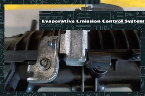 Evaporative Emission System Control Circuit At Steven Waddy Blog