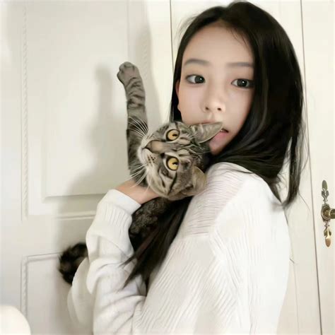 不能把自由的小猫叫做流浪猫 高清图片堆糖美图壁纸兴趣社区