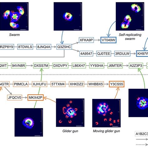 Screenshots Of Large Scale Evolutionary Simulations A Starting
