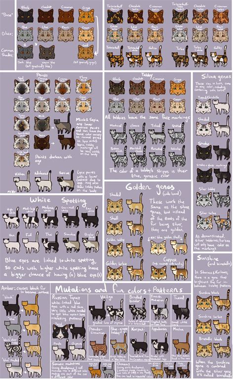 Warrior Cat Fur Colors At Rocky Rivera Blog