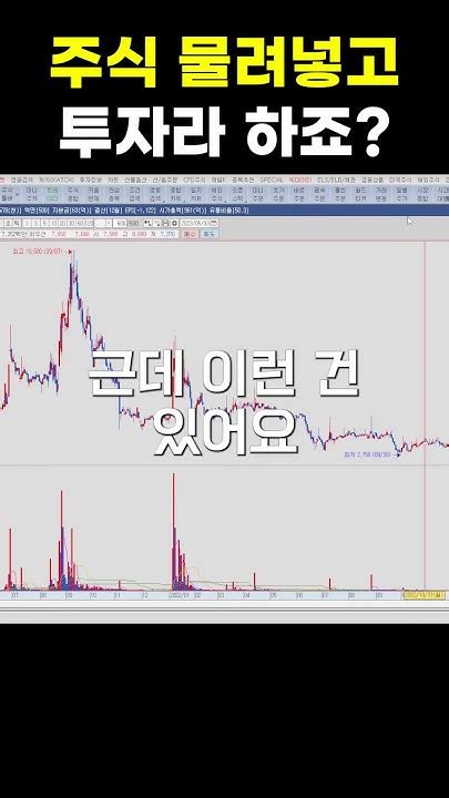 개인투자자가 장기투자 하는 이유 Youtube