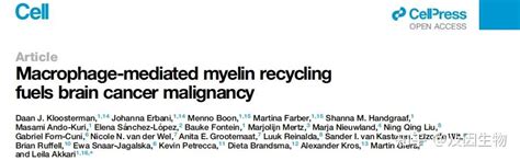 Cell丨巨噬细胞黑化：释放脂质加速肿瘤恶化 知乎