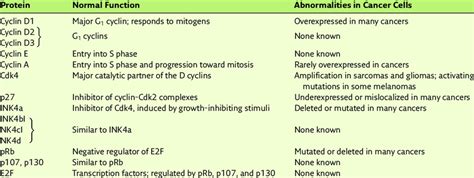 Cell Cycle Regulators In Cancer Download Scientific Diagram