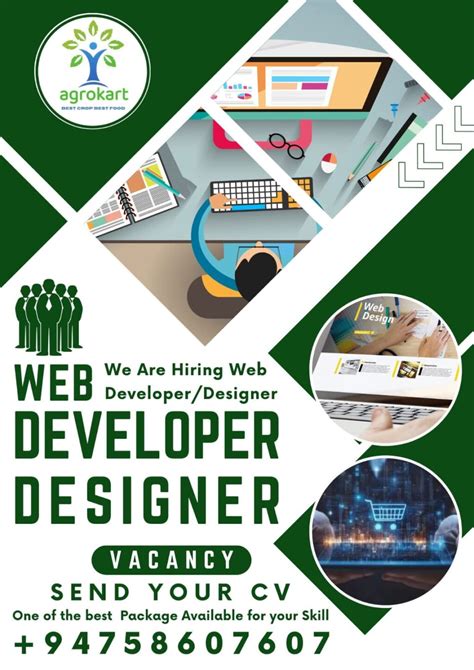 Web Developers Designers Jobseekerlk