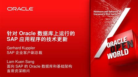 针对 Oracle 数据库上运行的 Sap 应用程序的技术更新word文档在线阅读与下载无忧文档