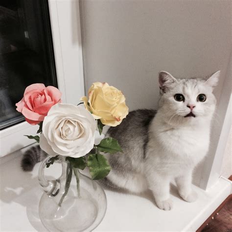 Розы из полимерной глины Пикабу