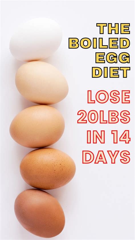Egg Diet Artofit