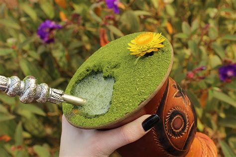 Brazil Chimarrão Yerba Mate Introduction And How To Prepare It Matero
