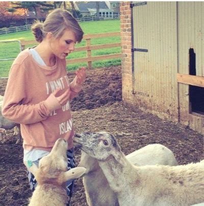 I Knew You Were Trouble Feat A Goat Taylor Swift Fanon Wiki Fandom