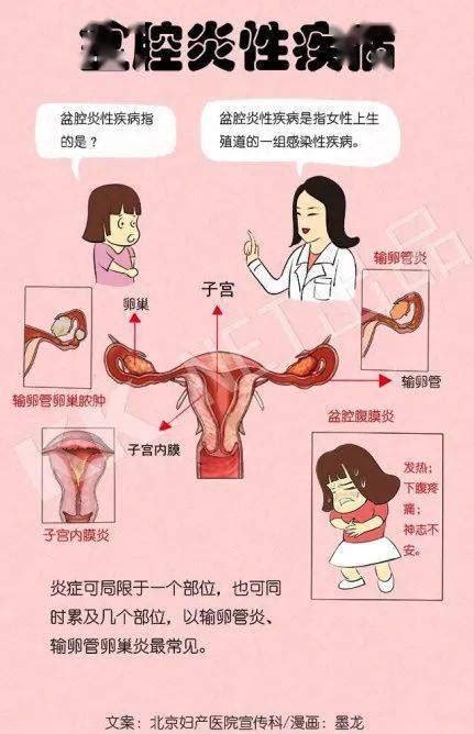搜狗图片搜索