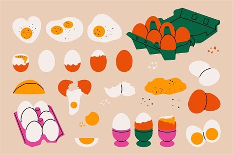 닭고기 달걀 세트 만화 삶은 원시 계란 노른자 상자 상자 깨진 달걀 껍질 단백질 유기농 식품 벡터 컬렉션 개념에 대한 스톡 벡터 아트 및 기타 이미지 Istock
