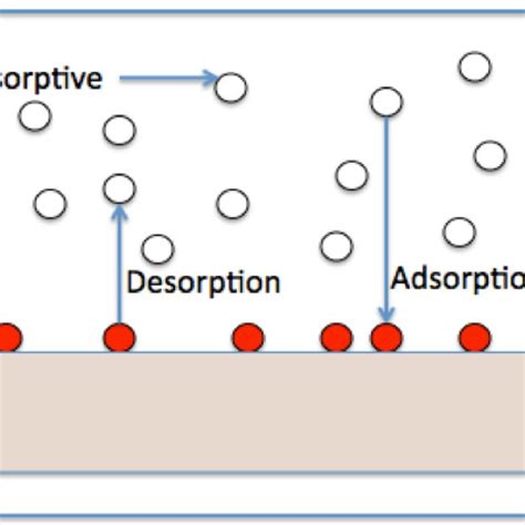 1 Schematic Representation Of Adsorption Download Scientific Diagram