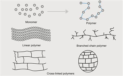 Low Pdi Polymers Cd Bioparticles
