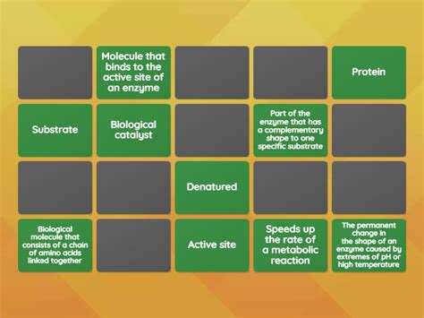 Igcse Enzymes Parejas