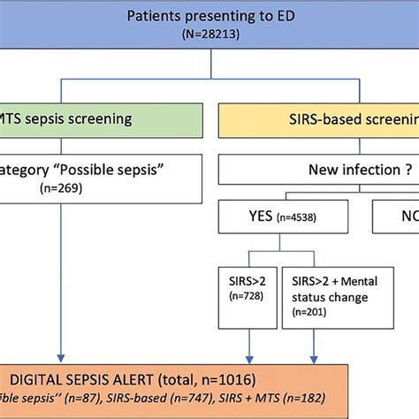Flow Chart Of Sepsis Screening And Digital Sepsis Alert At Our Center Download Scientific Diagram