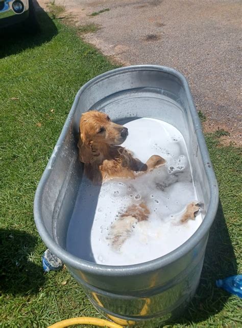 Alba Annie Allen Ballard