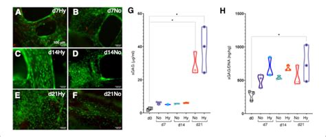 Cell Viability And Biochemical Characterization Of In Vitro Matured Download Scientific Diagram