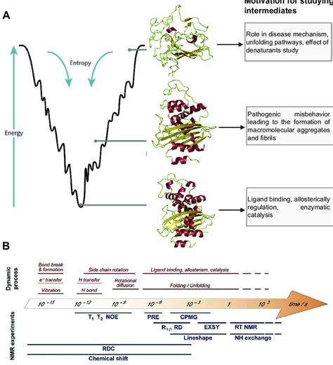 F0015 A Role Of Different Energy State Molecules In The Folding Download Scientific Diagram