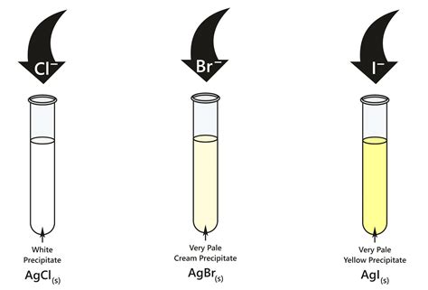 Test Reagent For Iodide Ion At Donna Hasty Blog