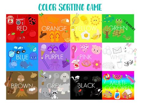 COLOR SORTING File Folder Game Printable Downloadable PDF Etsy