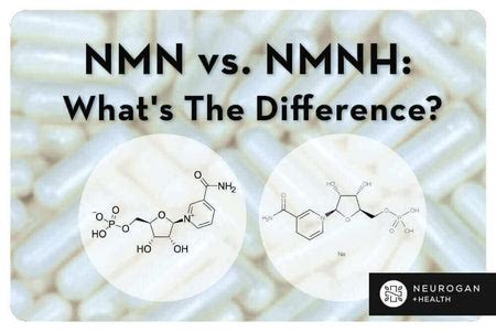 Nmn Vs Nmnh Differences Benefits Which Is Better Neurogan Health