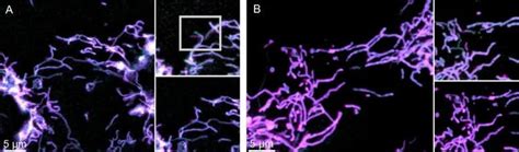 Simplifying Complex Fluorescence Multiwell Plate Assays Danaher Life