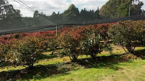 9 Tips How To Choose Blueberry Netting Suppliers Eyouagro