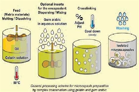 Coacervation Process Download Scientific Diagram