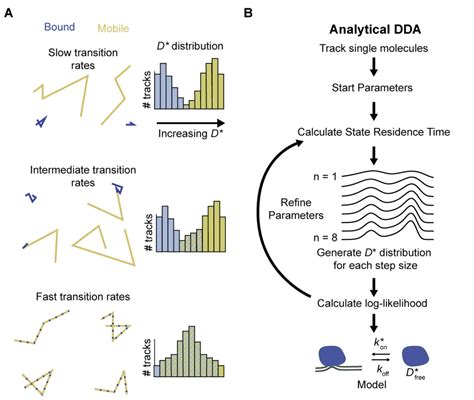 Published Extracting Transition Rates In Particle Tracking Using