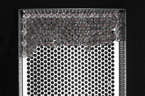 MVTec Expands Halcon Functionality With Deep Learning Features Imaging And Machine Vision Europe