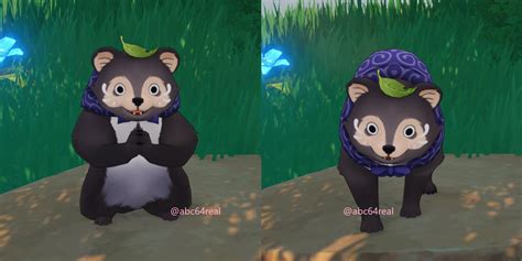 Tanuki Rgenshinimpactleaks