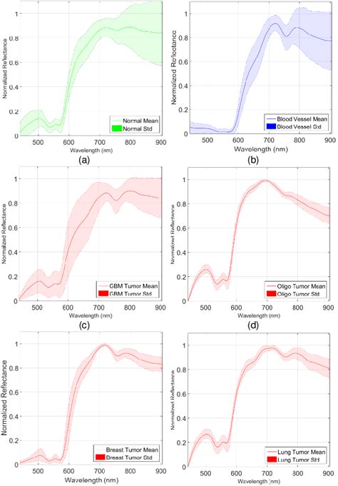 Average And Standard Deviation Std Across All The Patients Of The Download Scientific Diagram