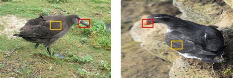 Figure 2 From Learning More Discriminative Local Descriptors For Few Shot Learning Semantic