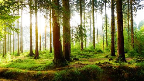 Arcgis Solutions For Arcgis Enterprise 111