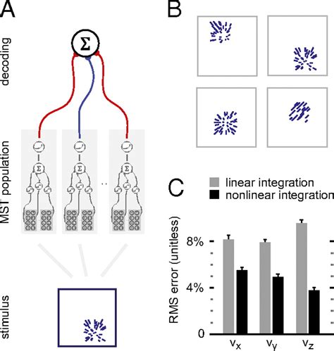 Hierarchical Processing Of Complex Motion Along The Primate Dorsal Visual Pathway Pnas