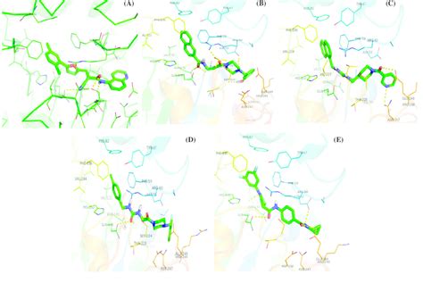 Comparative Binding Mode Analysis Of Akg2 A Zinc89878705 B
