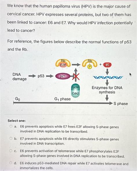 Solved We Know That The Human Papilloma Virus Hpv Is The