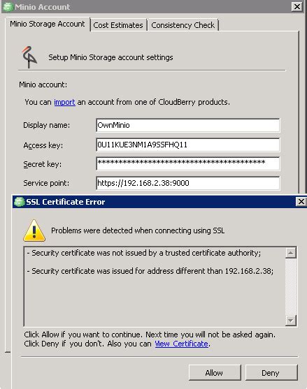 Problem With Minio Ssl