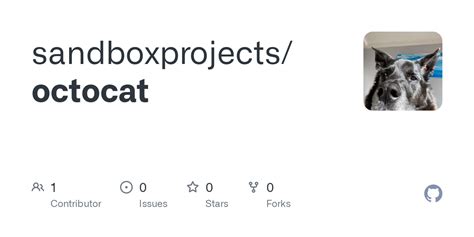 Github Sandboxprojectsoctocat