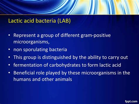 Lactic Acid Bacteria Lab Pptx