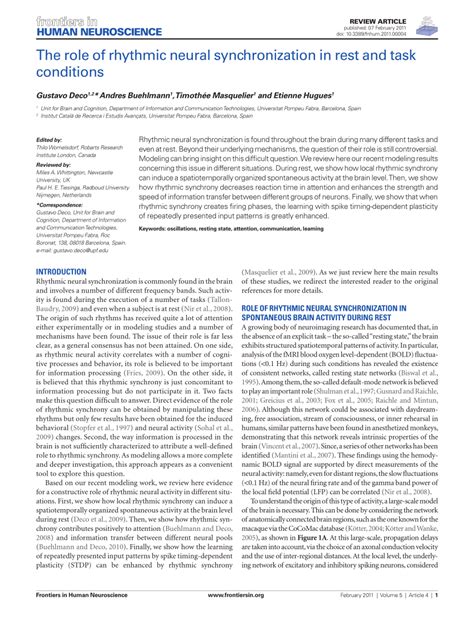 Pdf The Role Of Rhythmic Neural Synchronization In Rest And Task Conditions