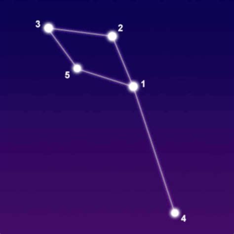 Appearance Of The Dolphin Constellation Explore The Universe Your Guide To Astronomy