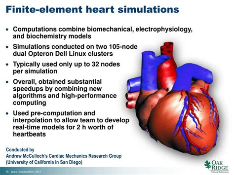 Ppt Biomedical Modeling And Simulation Powerpoint Presentation Free Download Id 5496929