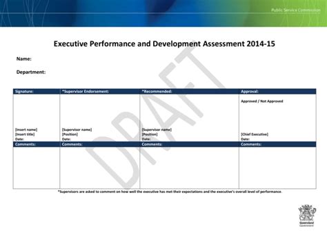 Executive Performance And Development Assessment Template