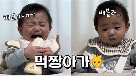먹다가 끝나는 6개월 아기의 하루👶💕 이모 삼촌 친구랑 즐거운 함안여행 처음 먹는 요거트 먹짱아기🐰 육아브이로그